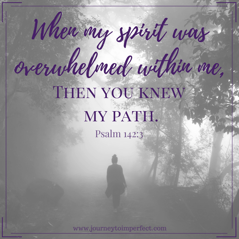 Psalm 142:3 | Journey to Imperfect