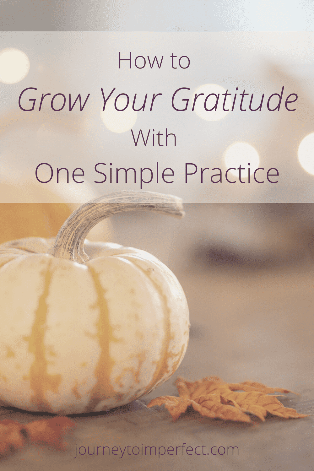 How to Grow Your Gratitude | Journey to Imperfect